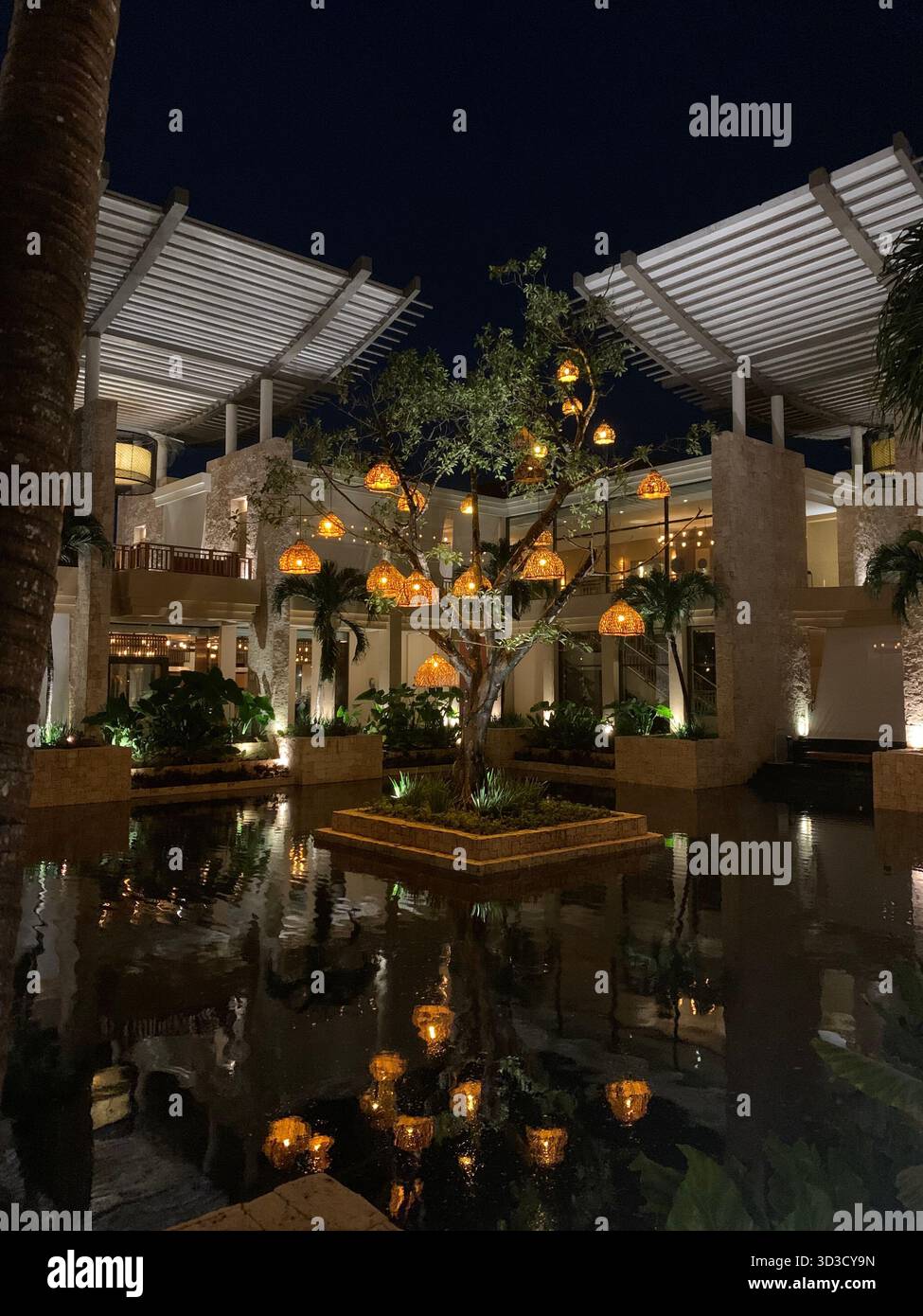 Banyan restaurant hi-res stock photography and images - Alamy