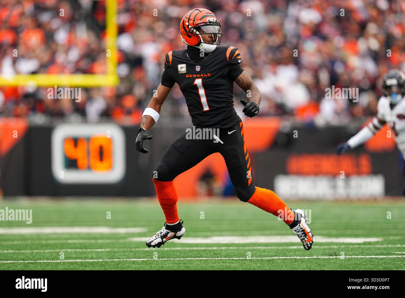 Cincinnati Bengals wide receiver Ja'Marr Chase (1) looks on during an ...