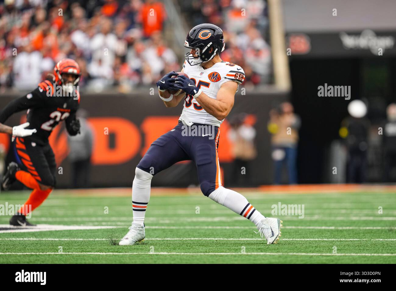 Chicago Bears tight end Cole Kmet (85) makes a catch during an NFL ...