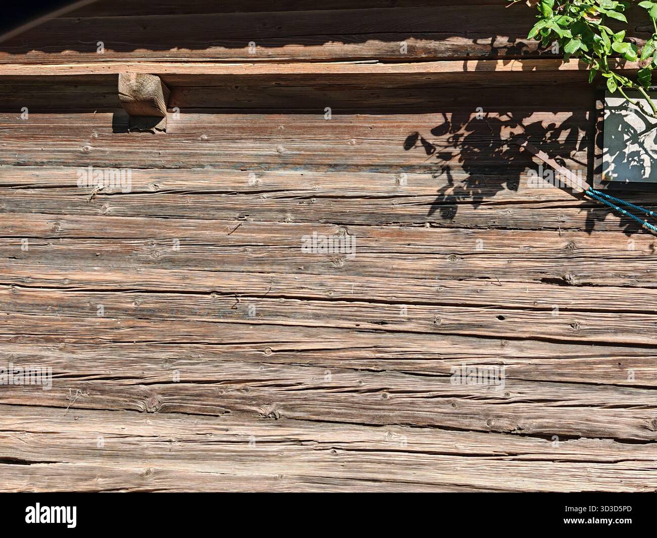 timber construction in construction industry, building with wood ...