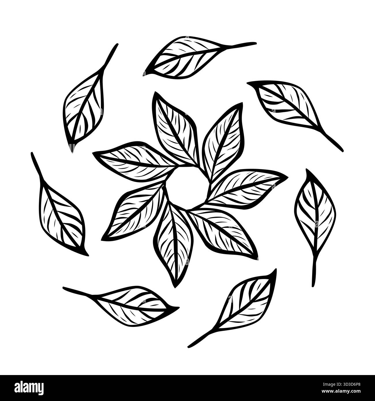Leaves arranged Black and White Stock Photos & Images - Alamy
