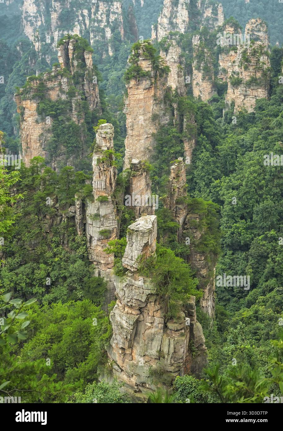 Panoramic view of the stone pillars of Tianzi mountains in Zhangjiajie ...
