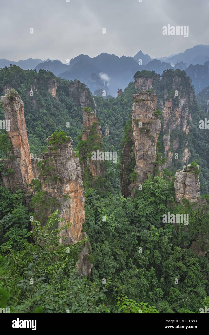 Vertical view of the stone pillars of Tianzi mountains in Zhangjiajie ...