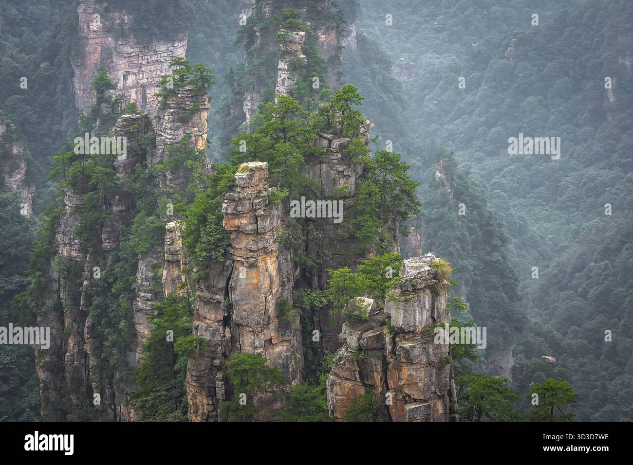 Panoramic view of the stone pillars of Tianzi mountains in Zhangjiajie ...