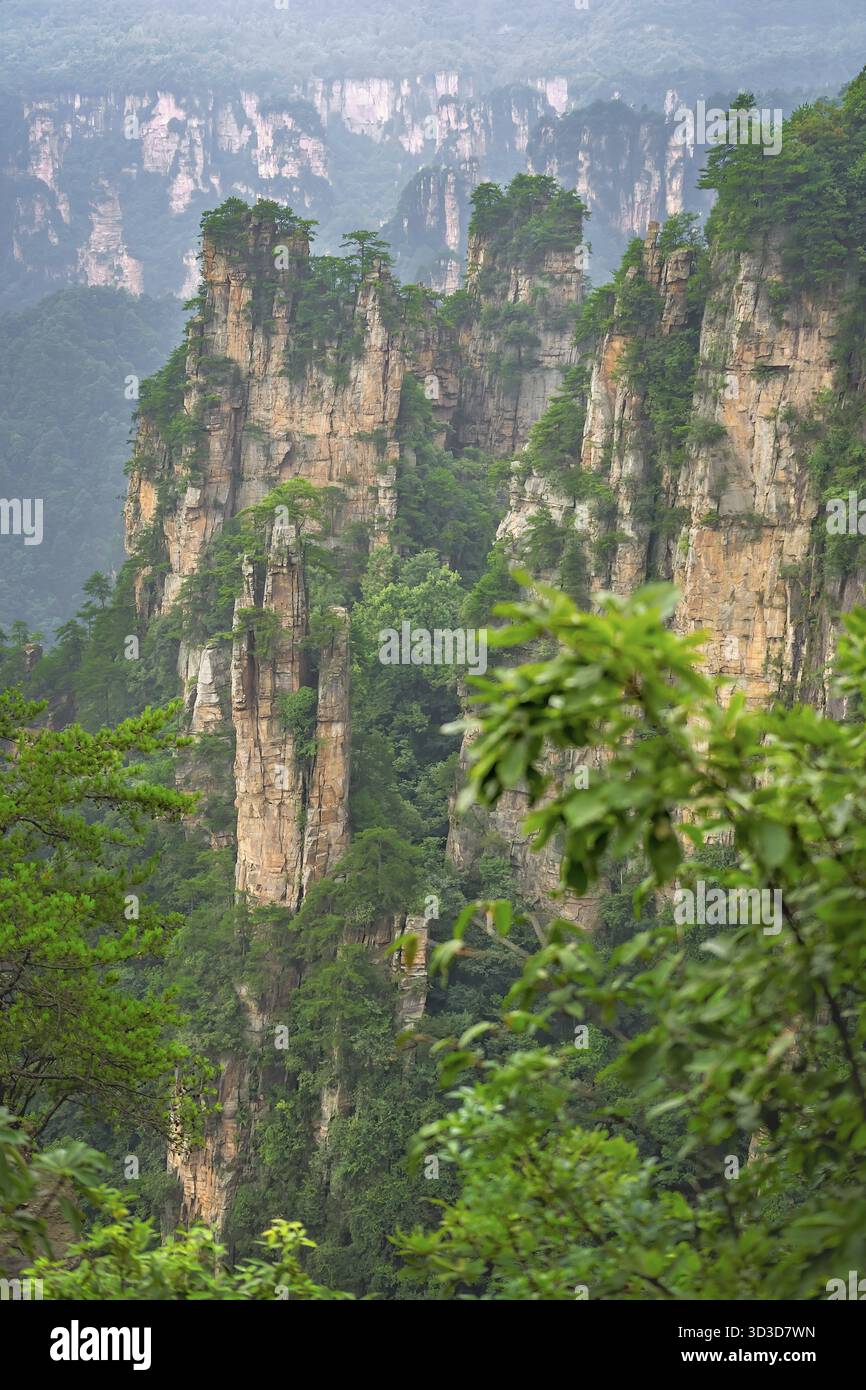 Vertical view of the stone pillars of Tianzi mountains in Zhangjiajie ...