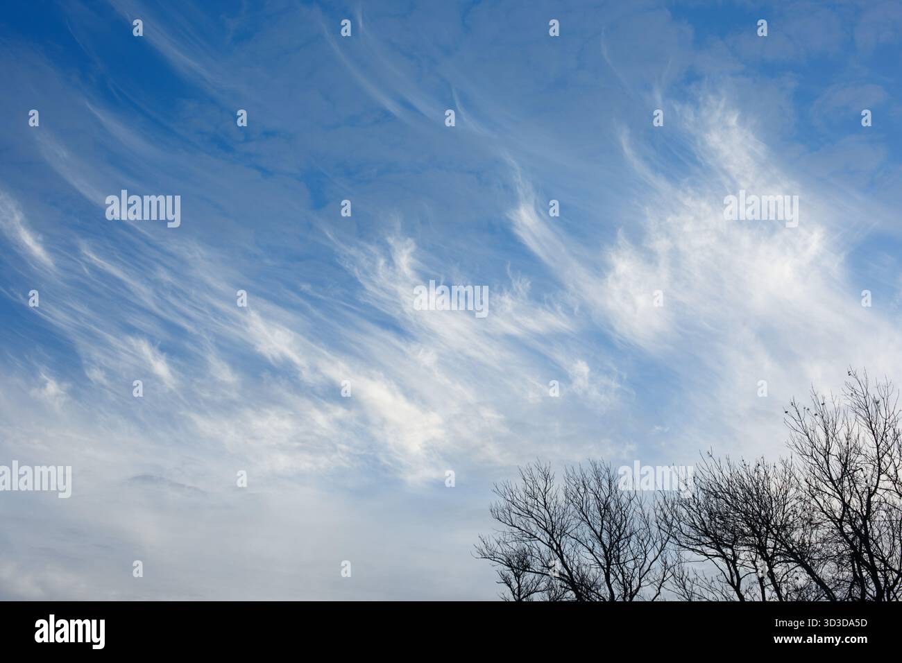 Late fall morning cirrus clouds, Northern Minnesota, USA Stock Photo ...