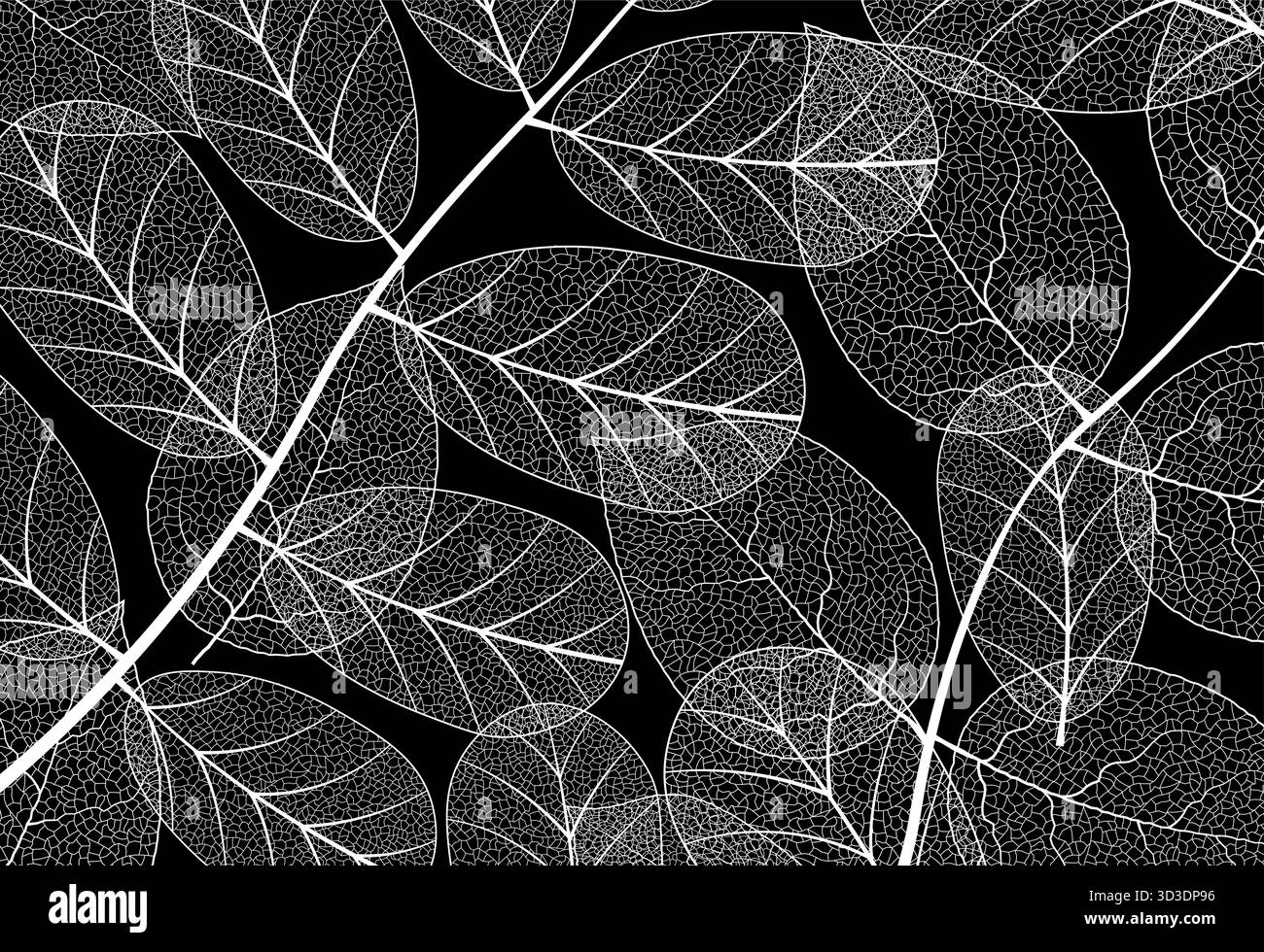 Leaf vein vascular detail Stock Vector Images - Alamy