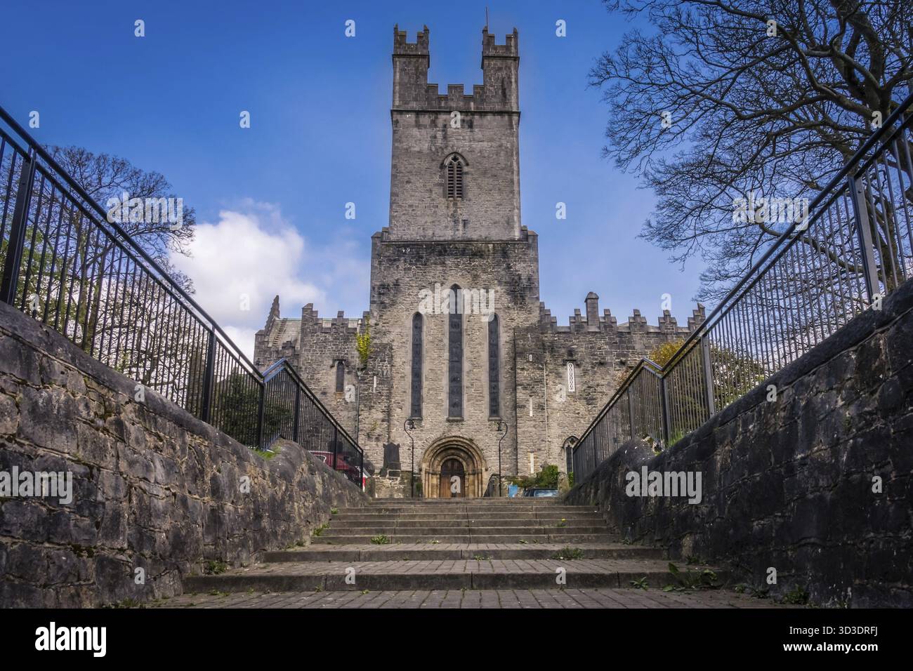 Limerick ireland cathedral mary hi-res stock photography and images - Alamy