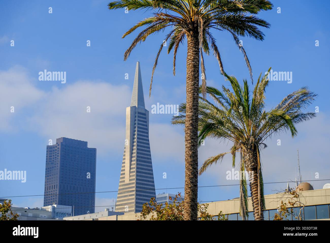 17 OCT 2025 - San Francisco, USA - The Transamerica Pyramid is a ...