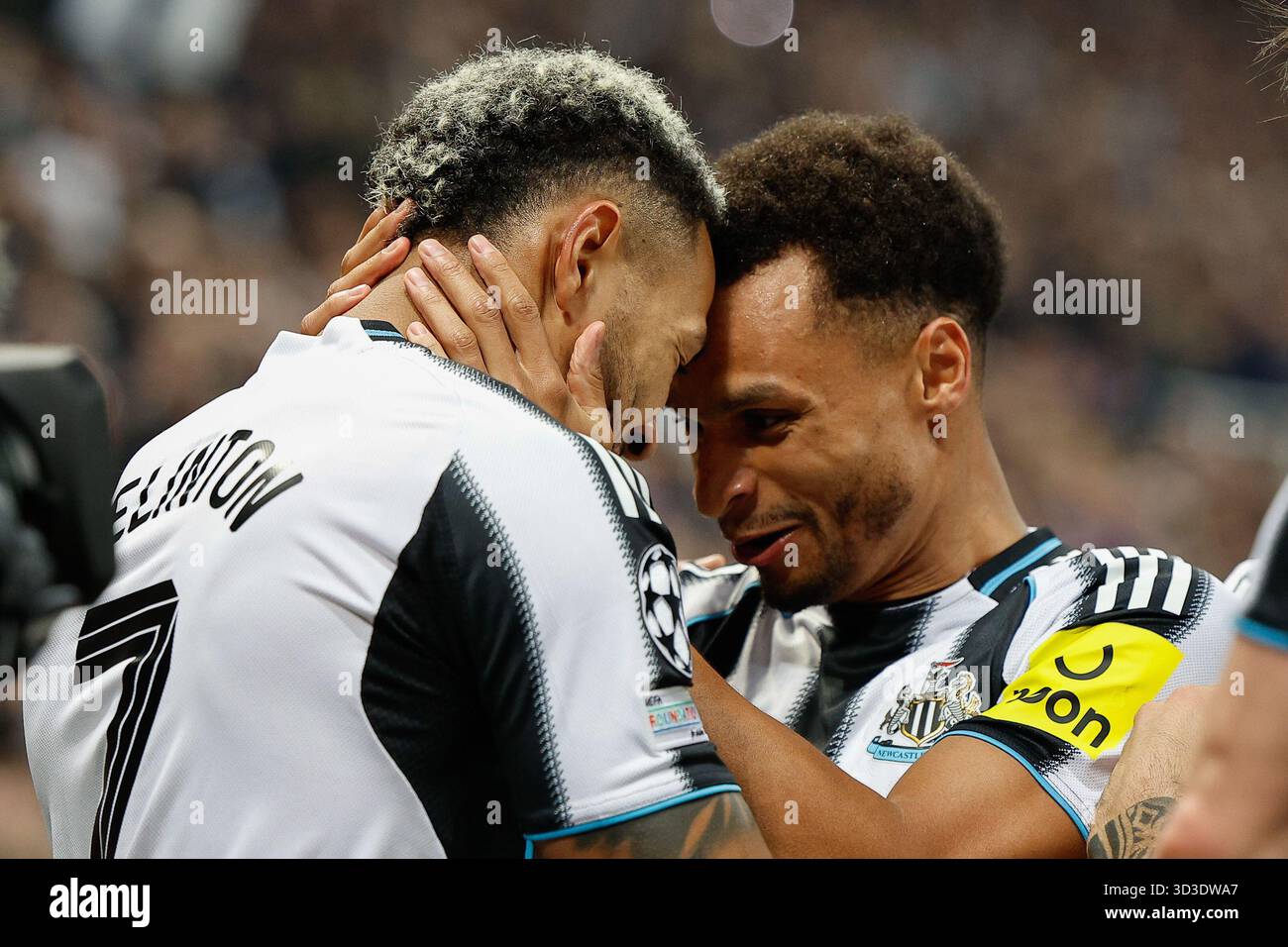 5th November 2025; St James Park, Newcastle, England; UEFA Champions ...