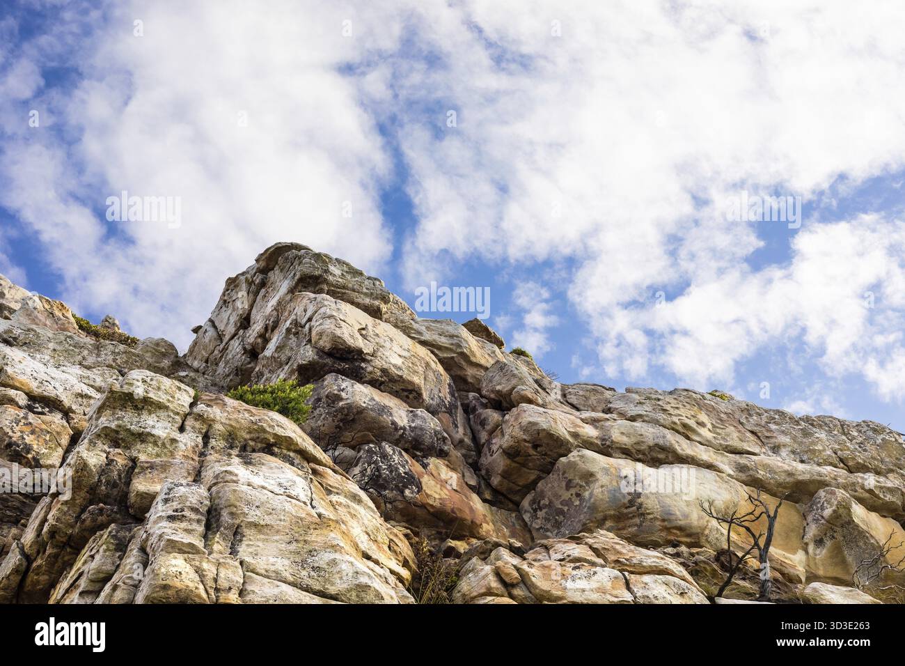 Rugged mountain landscape with fynbos scrub bush flora in Cape Town ...