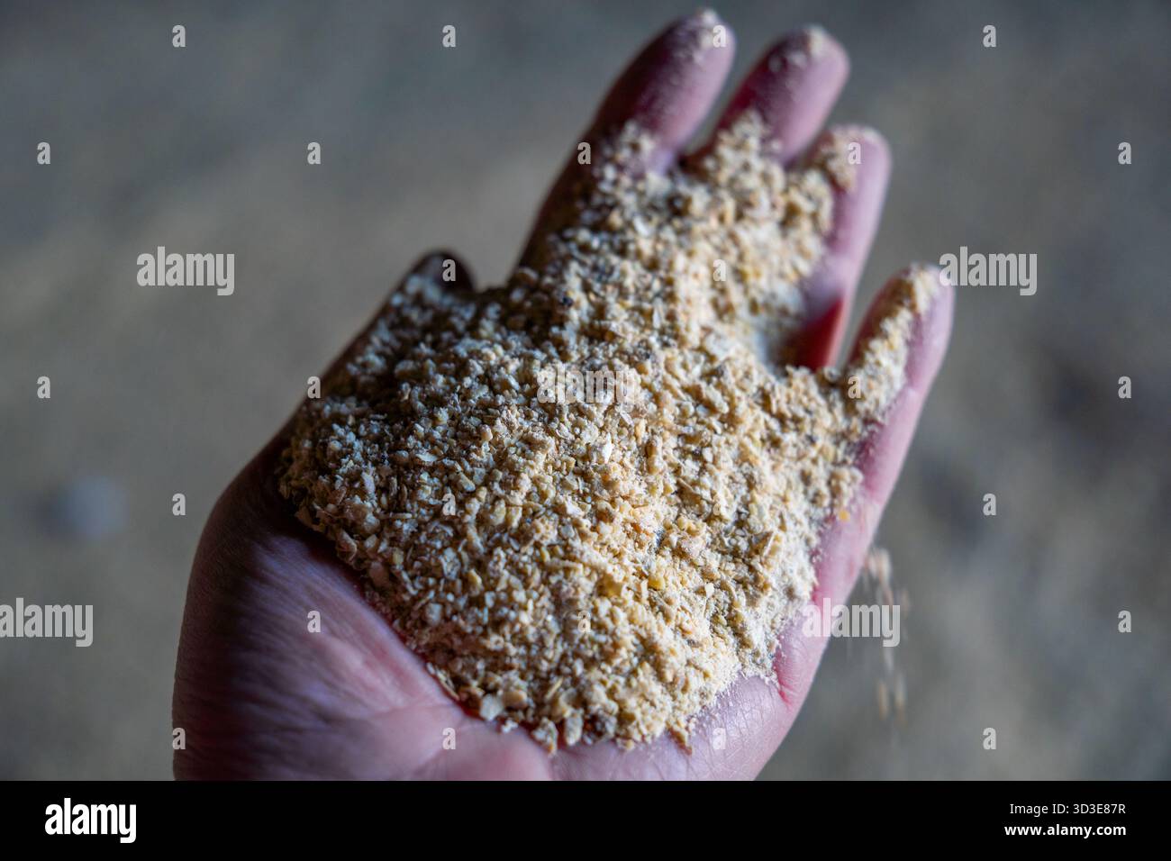 Soybean meal for cow feeding Stock Photo - Alamy