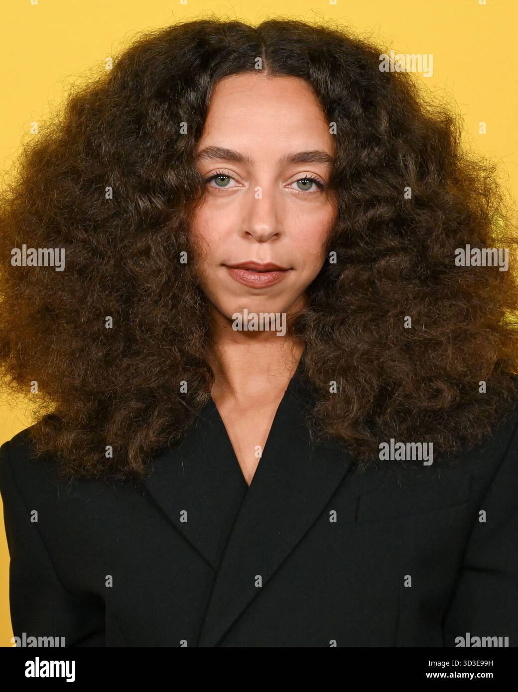 November 4, 2025, Hollywood, California, USA: Canadian actress and ...