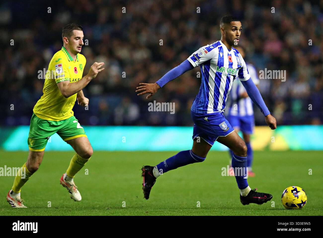 Kenny McLean of Norwich City pressures Max Lowe of Sheffield Wednesday ...