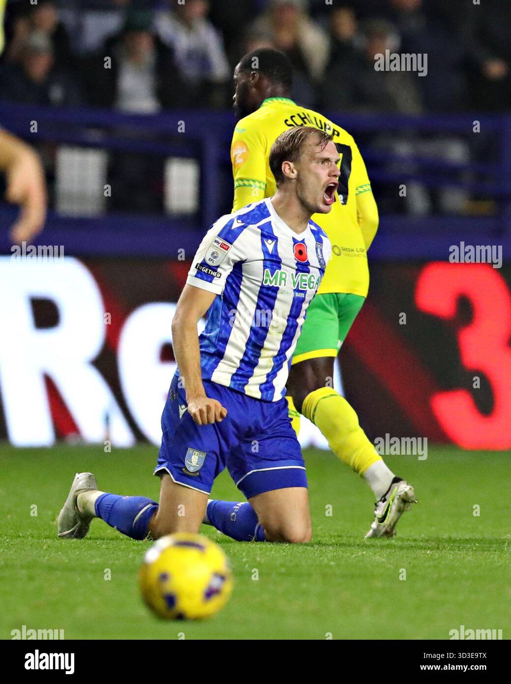 Svante Ingelsson of Sheffield Wednesday appeals during the Sky Bet ...