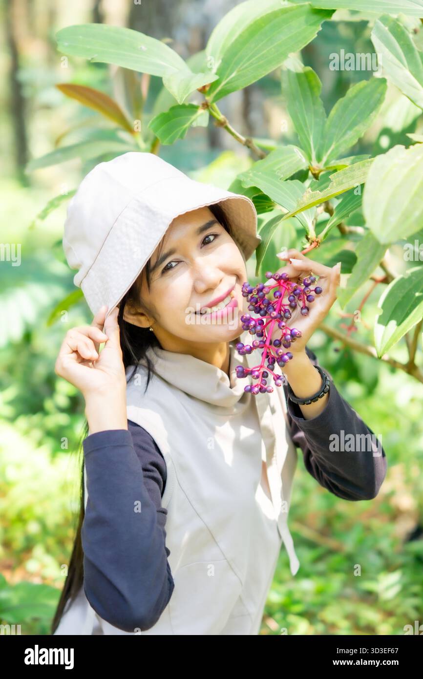 Asian female farmers are in the Parijoto fruit garden (Medinilla ...