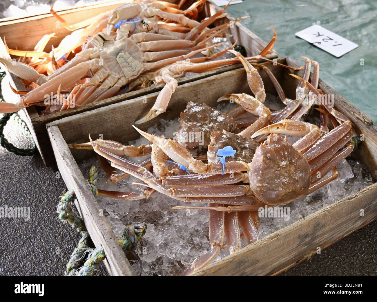 The season's first catch of snow crabs is landed at a fishing port in ...