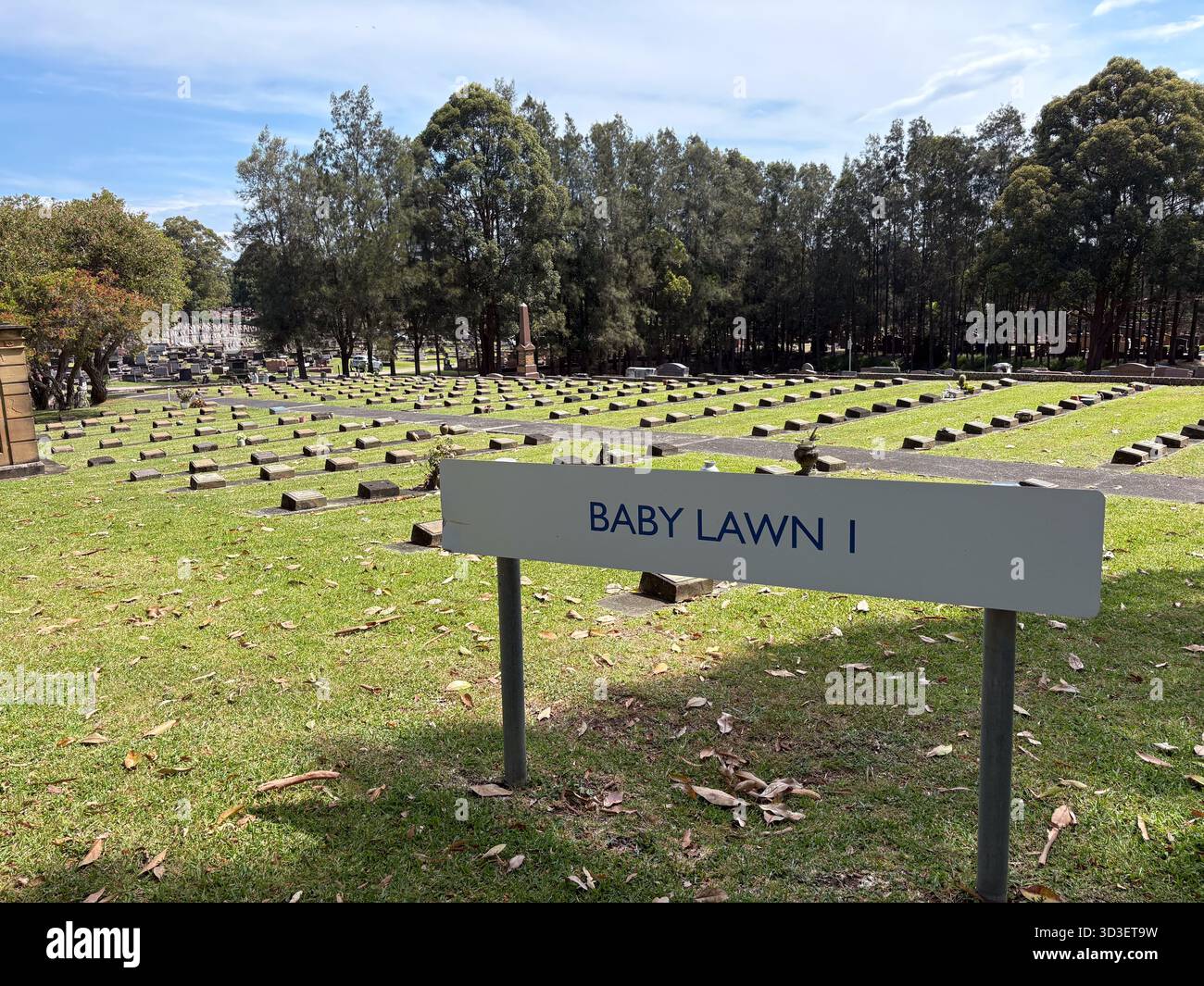 Baby lawn i hi-res stock photography and images - Alamy