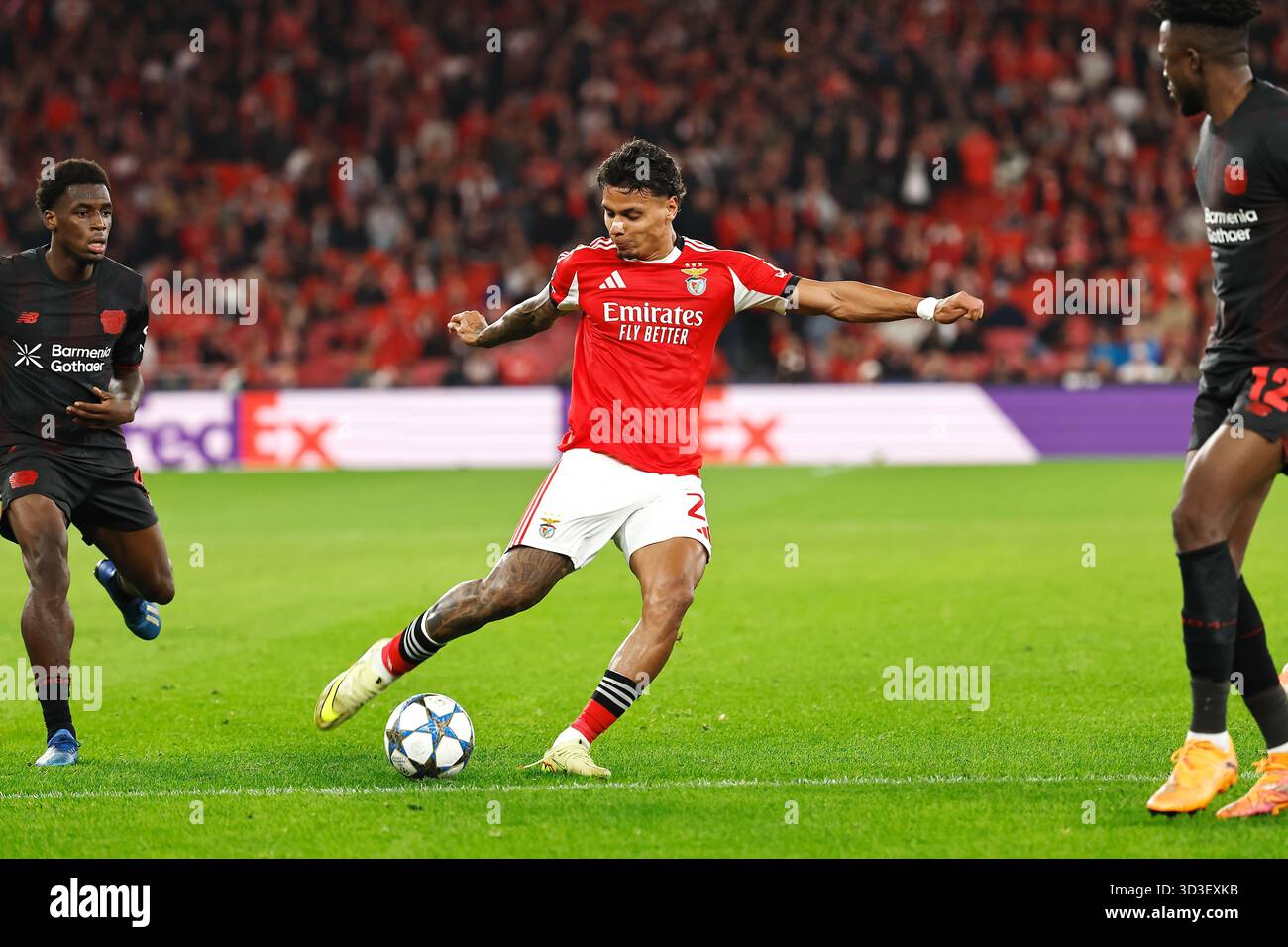 Richard Rios (Benfica), NOVEMBER 5, 2025 - Football / Soccer : "UEFA ...