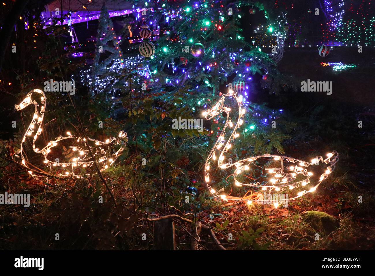 Festive outdoor christmas display hi-res stock photography and images ...