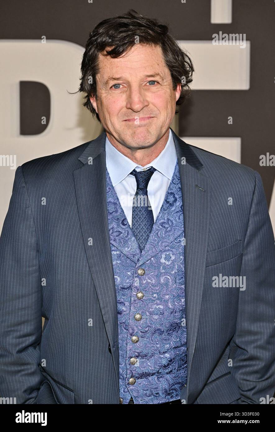 Tim Guinee attends the Netflix special screening of "The Beast in Me ...