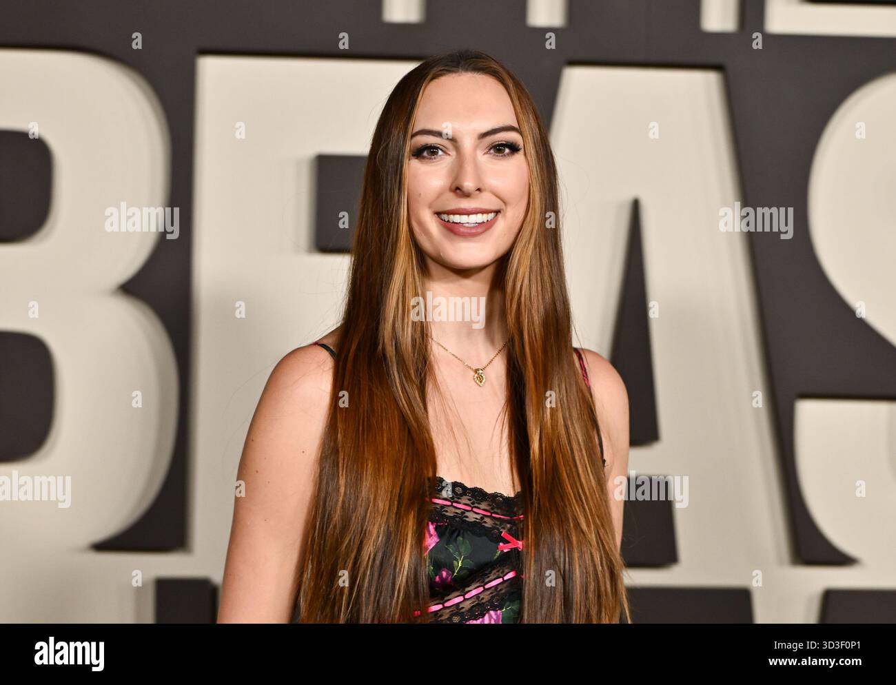Sylvia Shipman attends the Netflix special screening of "The Beast in ...