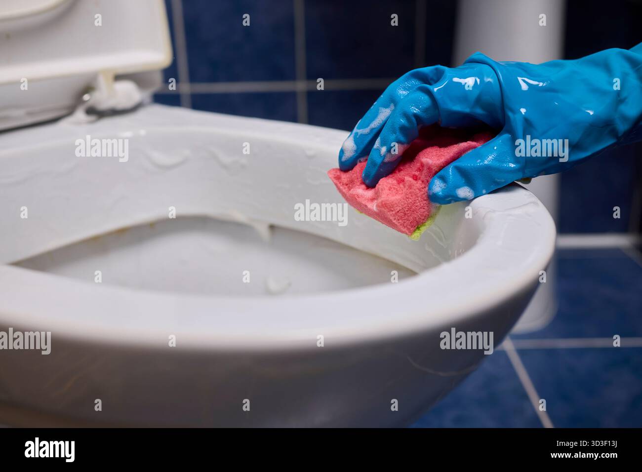Cleaning the Toilet Essential Sanitation Practices for Maintaining a ...
