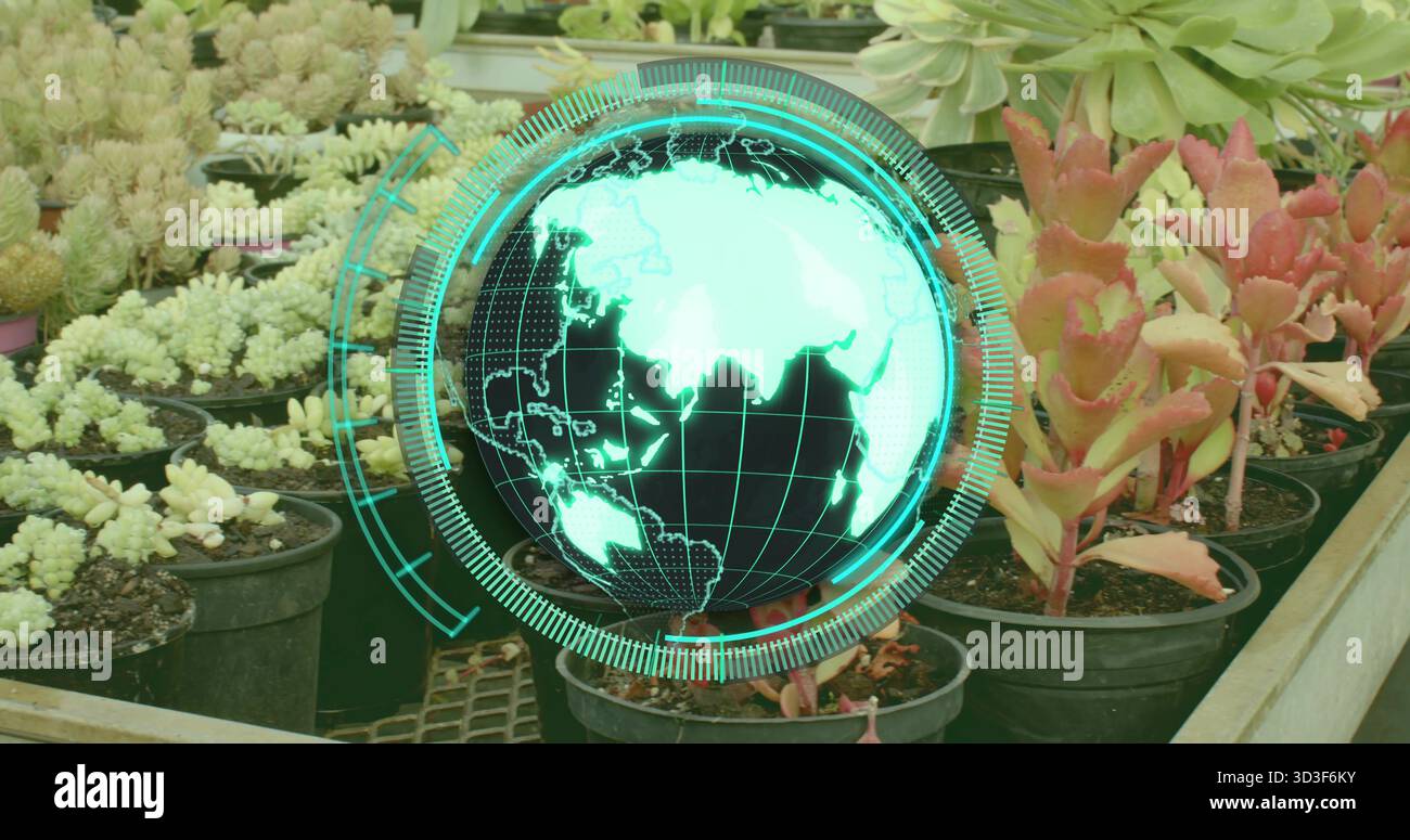 Displaying digital globe overlay with UI rings hovering above succulent ...