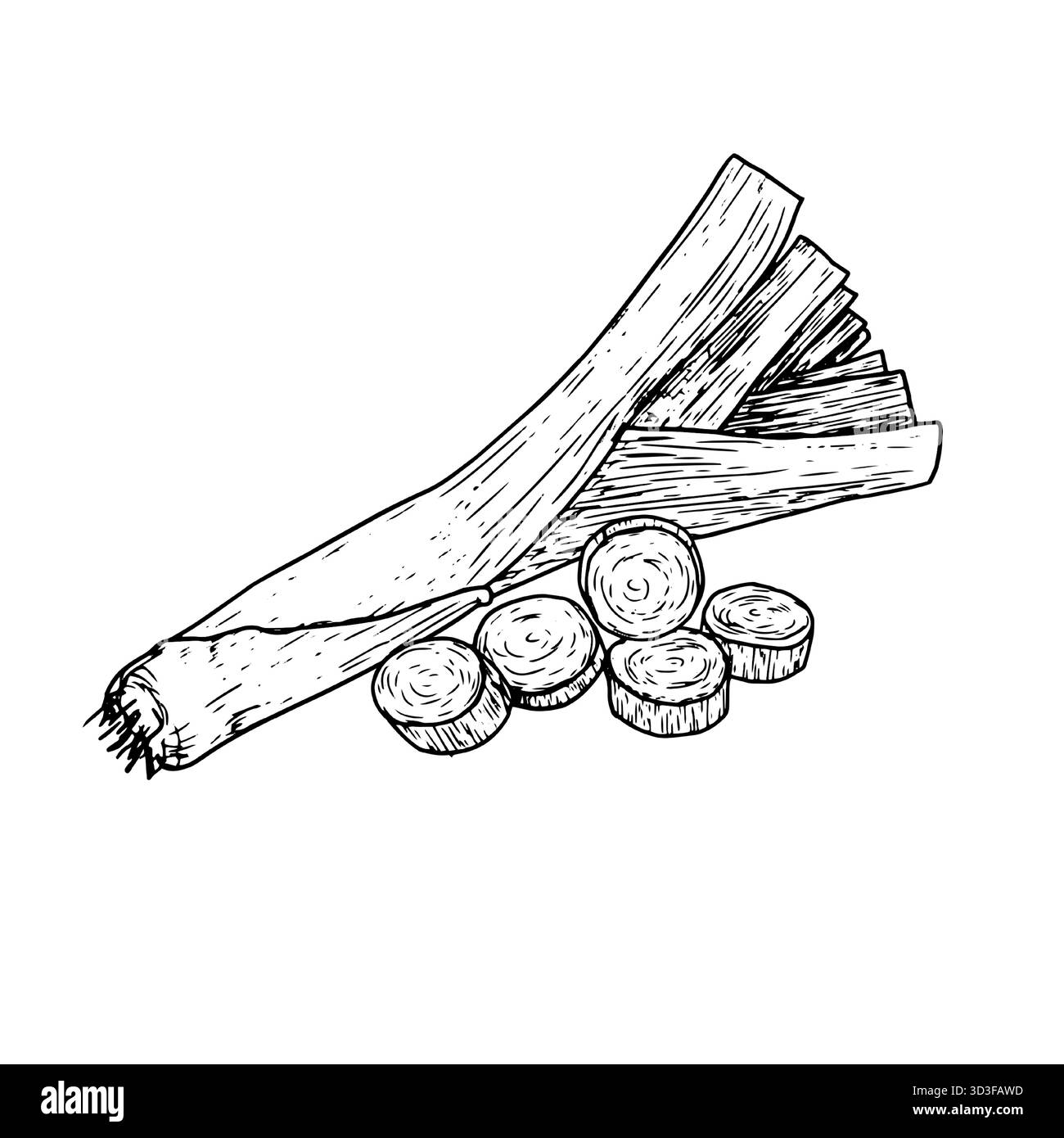 Fresh leeks, whole and sliced, black and white sketch. Vector ...