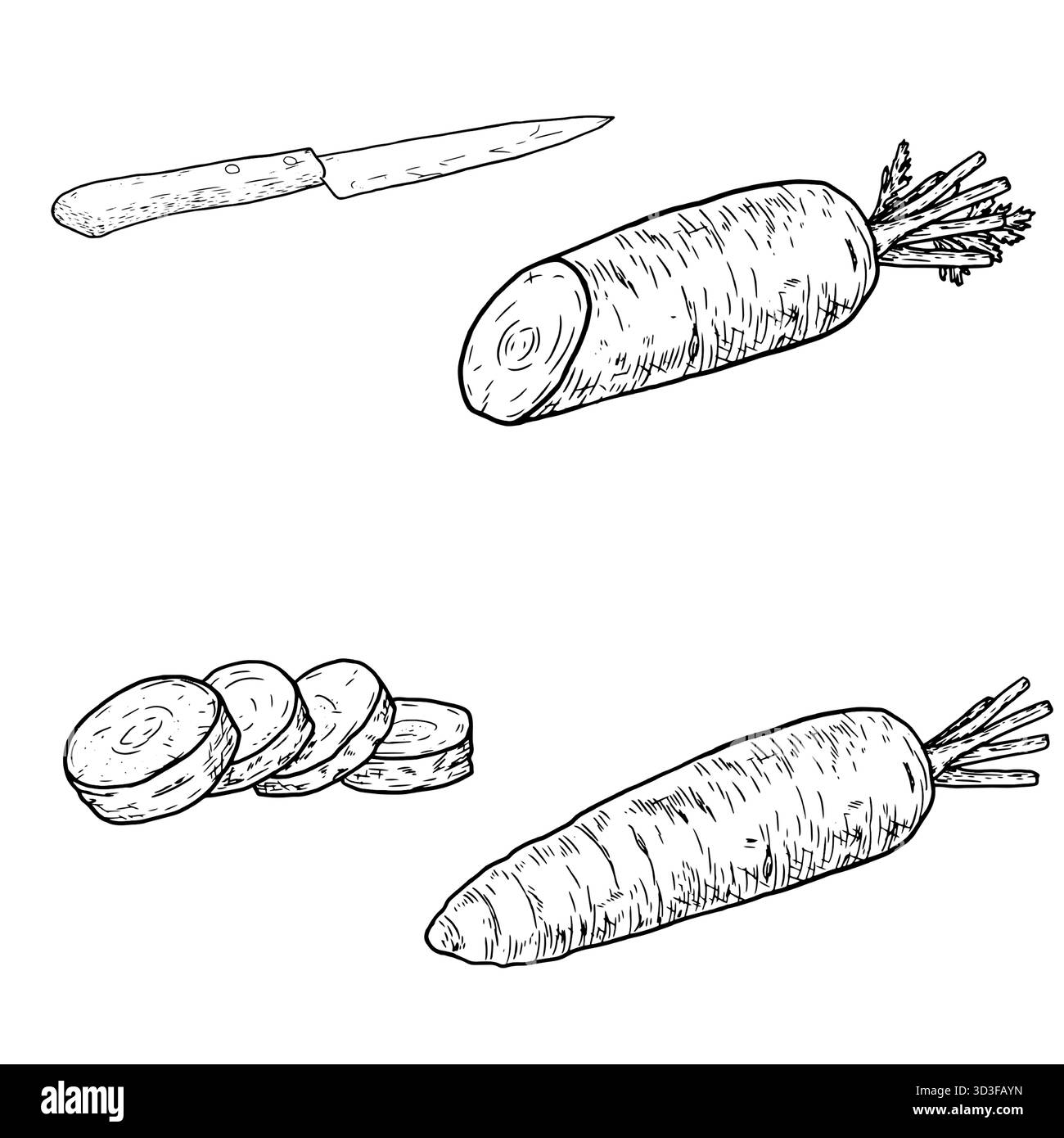 Kitchen knife sliced fresh Stock Vector Images - Alamy