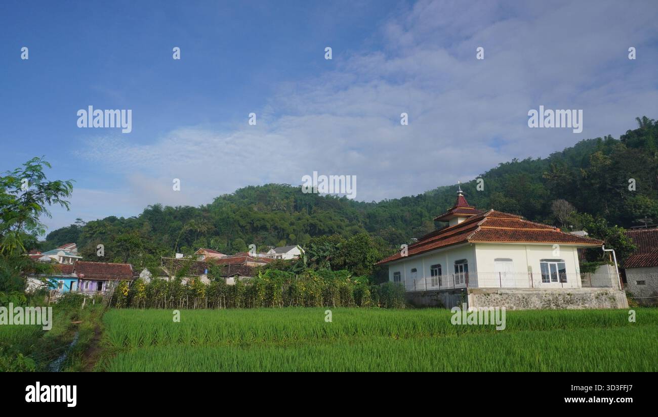 Crops in agriculture and rural areas hi-res stock photography and ...