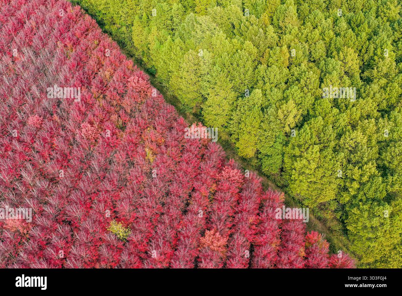 **CHINESE MAINLAND, HONG KONG, MACAU AND TAIWAN OUT** Aerial photo ...
