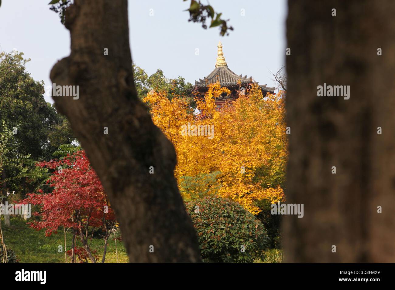 Autumn scenery at Xingqinggong Park in Xi'an City, northwest China's ...