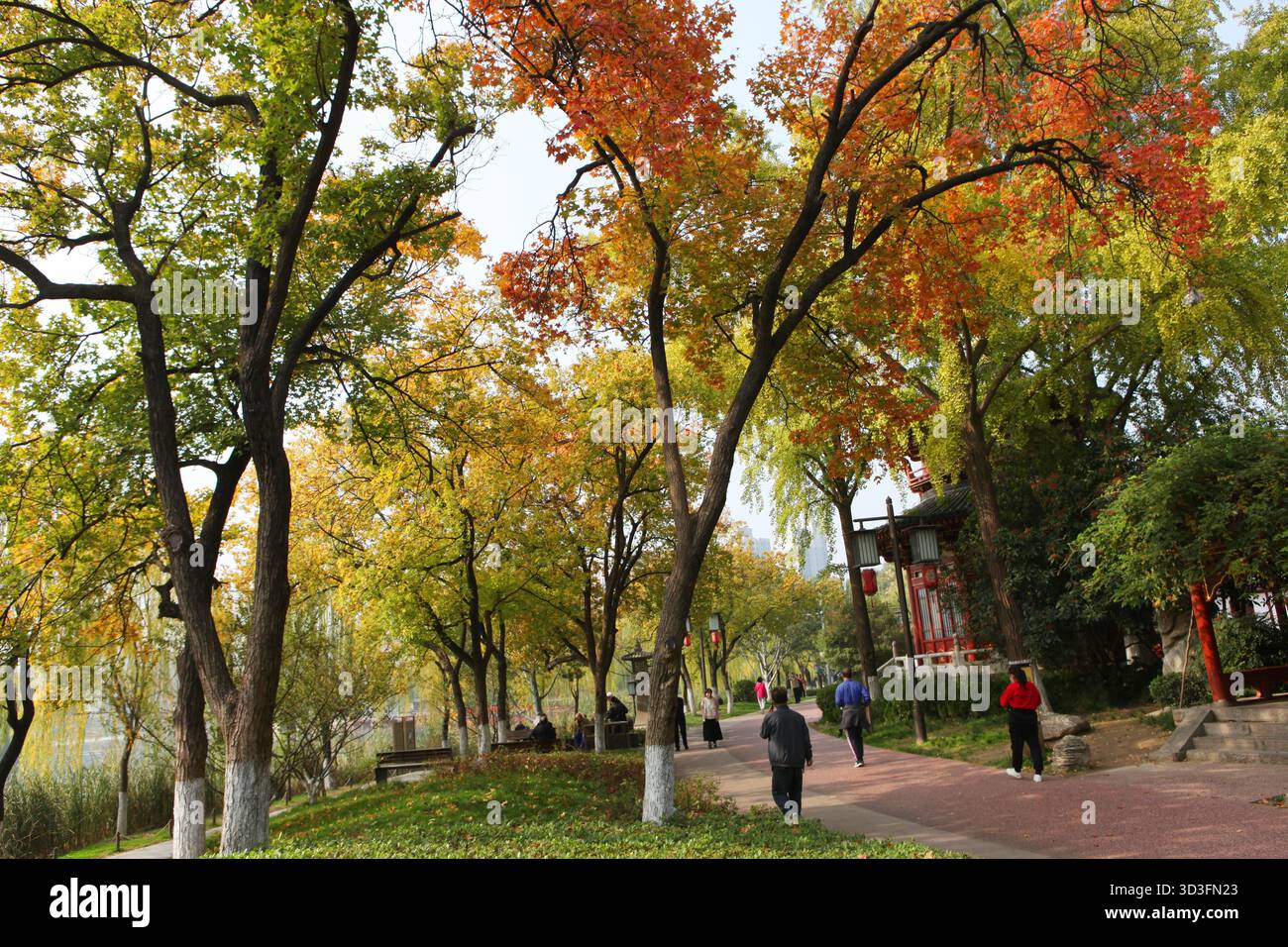 Autumn scenery at Xingqinggong Park in Xi'an City, northwest China's ...