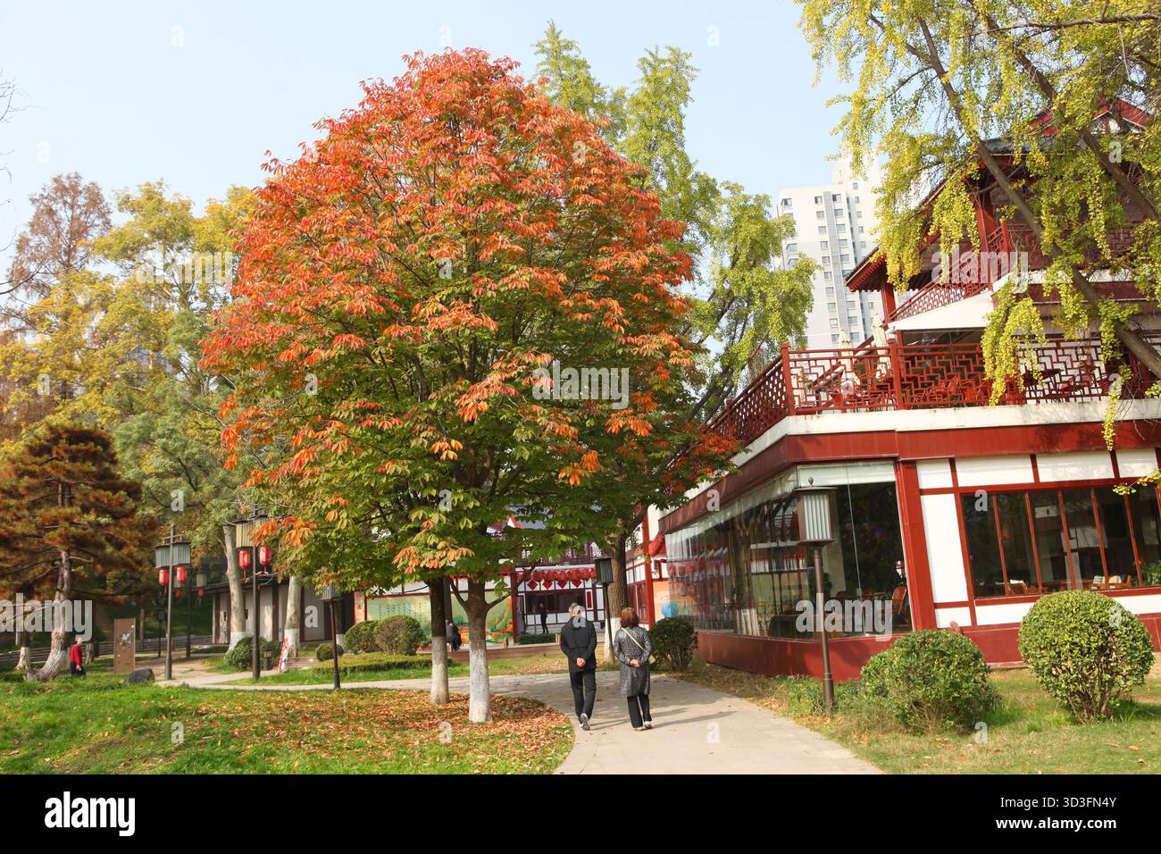 Autumn scenery at Xingqinggong Park in Xi'an City, northwest China's ...
