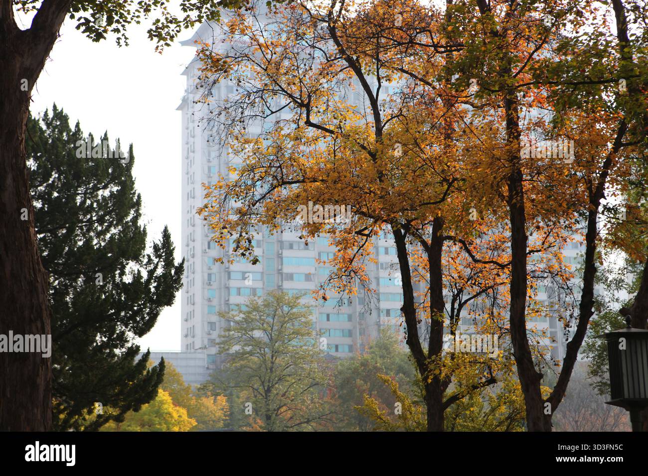 Autumn scenery at Xingqinggong Park in Xi'an City, northwest China's ...