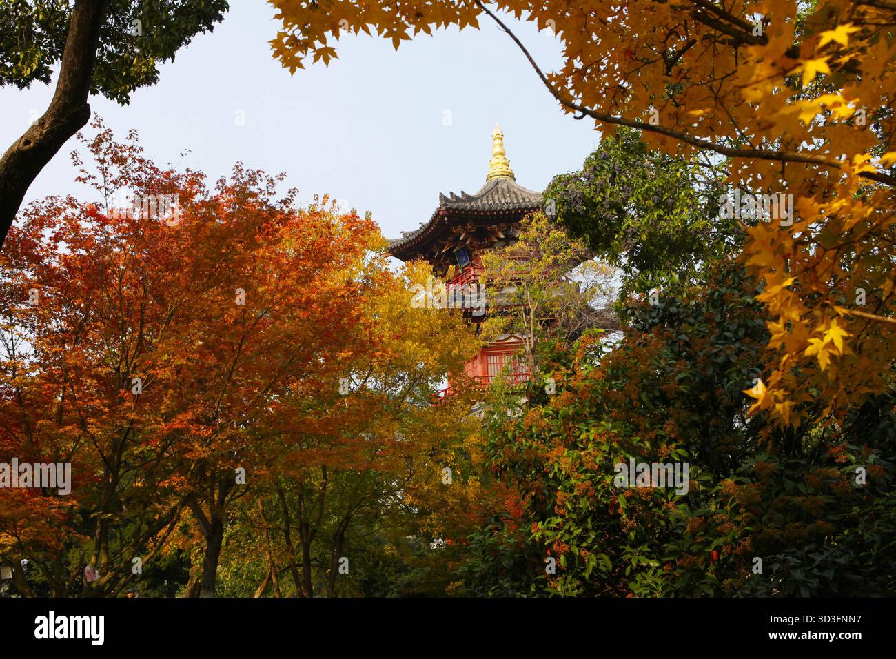 Autumn scenery at Xingqinggong Park in Xi'an City, northwest China's ...
