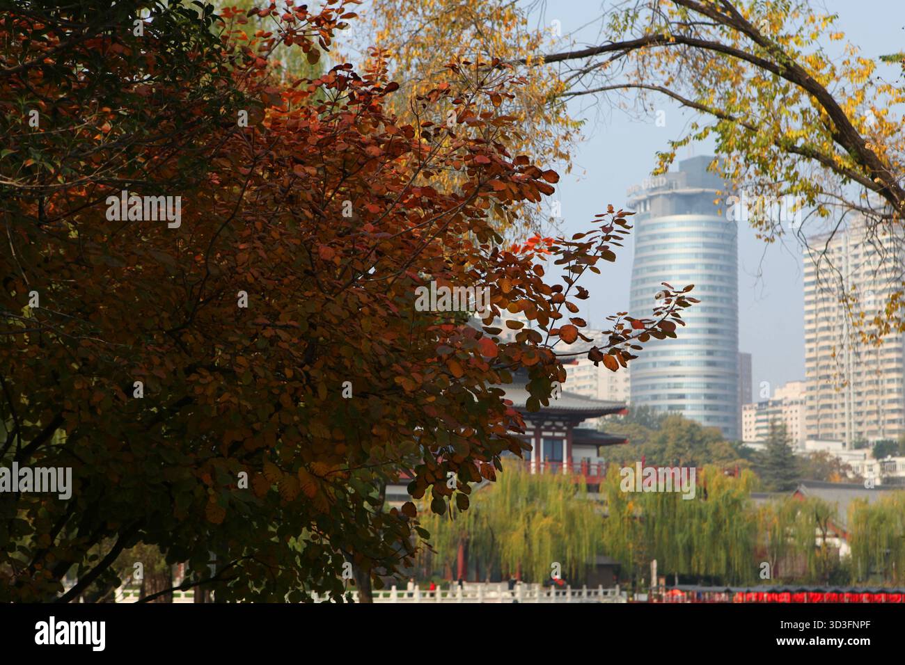 Autumn scenery at Xingqinggong Park in Xi'an City, northwest China's ...