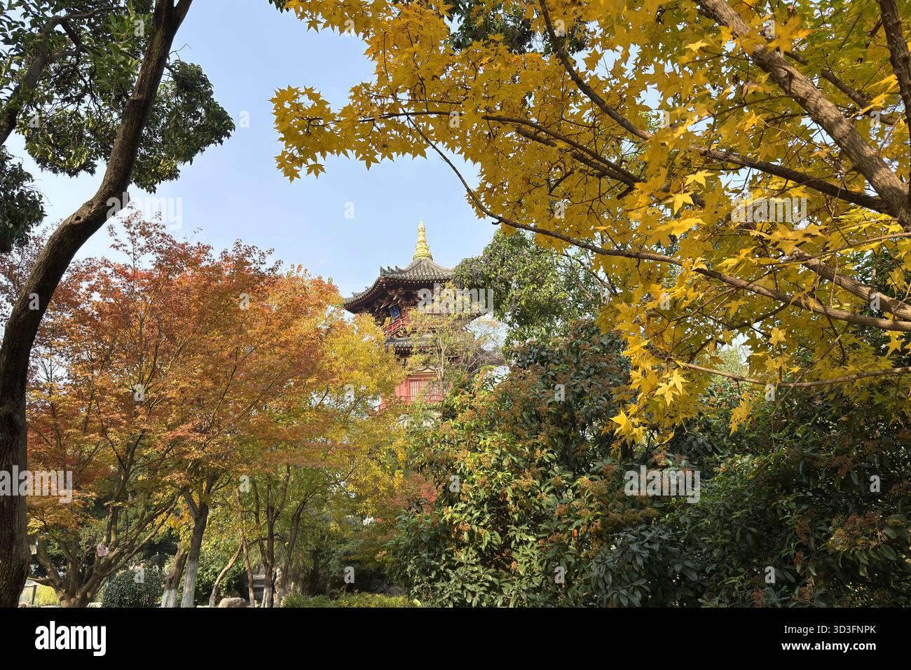 Autumn scenery at Xingqinggong Park in Xi'an City, northwest China's ...