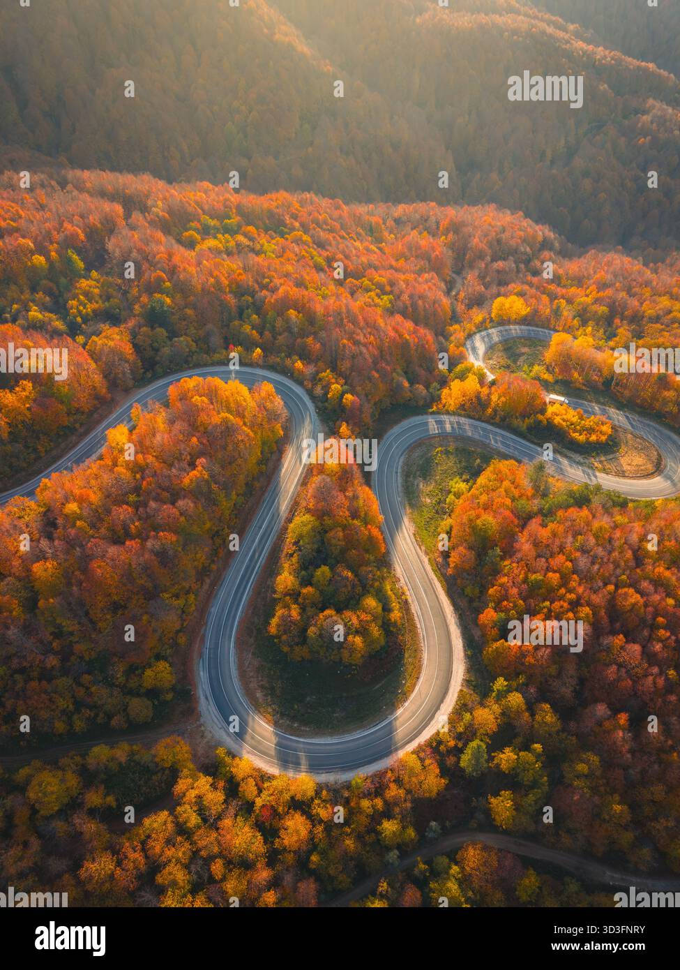 Domanic road hi-res stock photography and images - Alamy