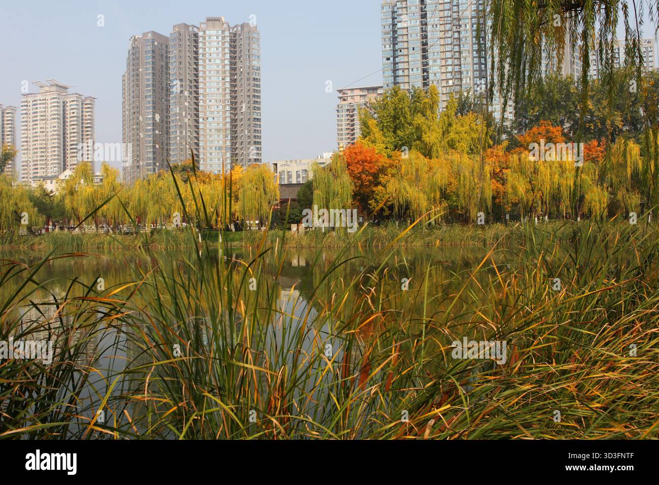 Autumn scenery at Xingqinggong Park in Xi'an City, northwest China's ...
