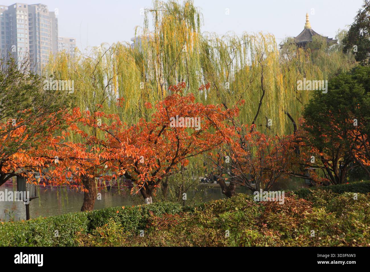Autumn scenery at Xingqinggong Park in Xi'an City, northwest China's ...