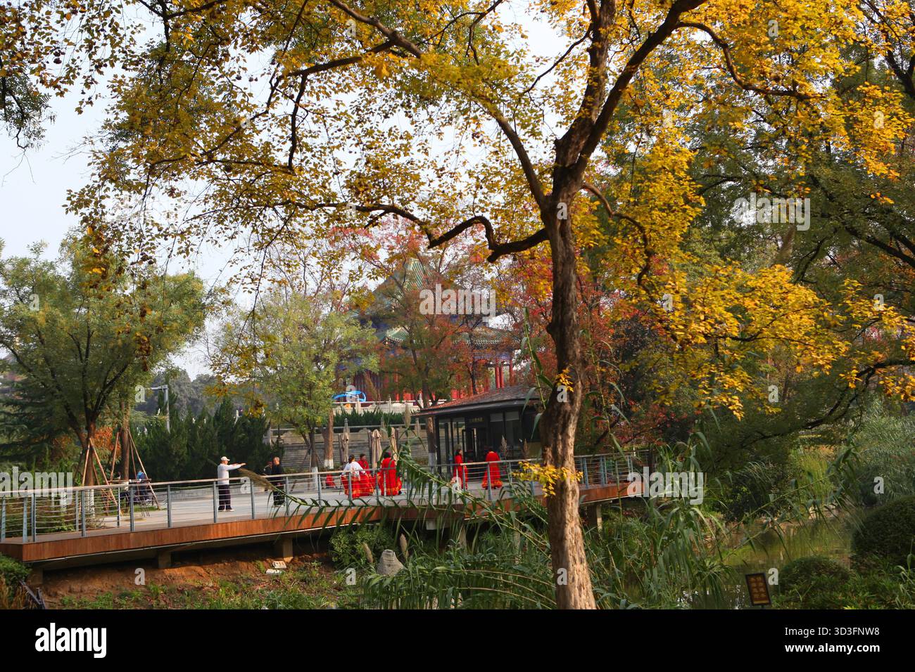 Autumn scenery at Xingqinggong Park in Xi'an City, northwest China's ...