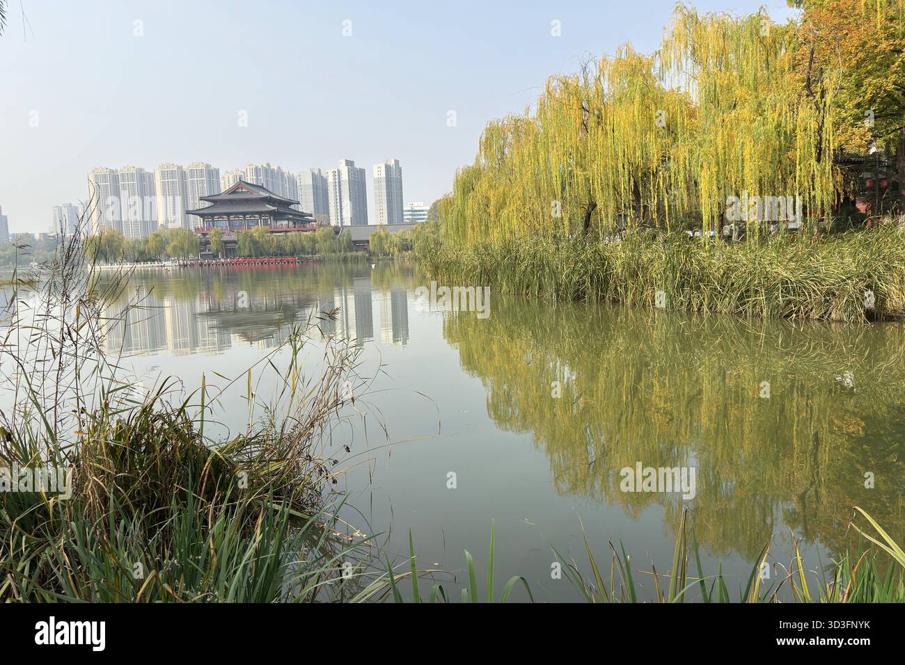 Autumn scenery at Xingqinggong Park in Xi'an City, northwest China's ...