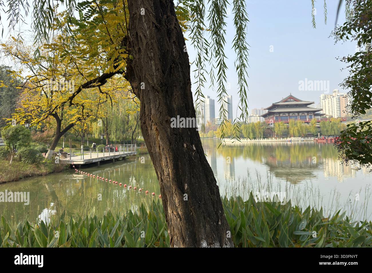 Autumn scenery at Xingqinggong Park in Xi'an City, northwest China's Shaanxi Province, 3 ...