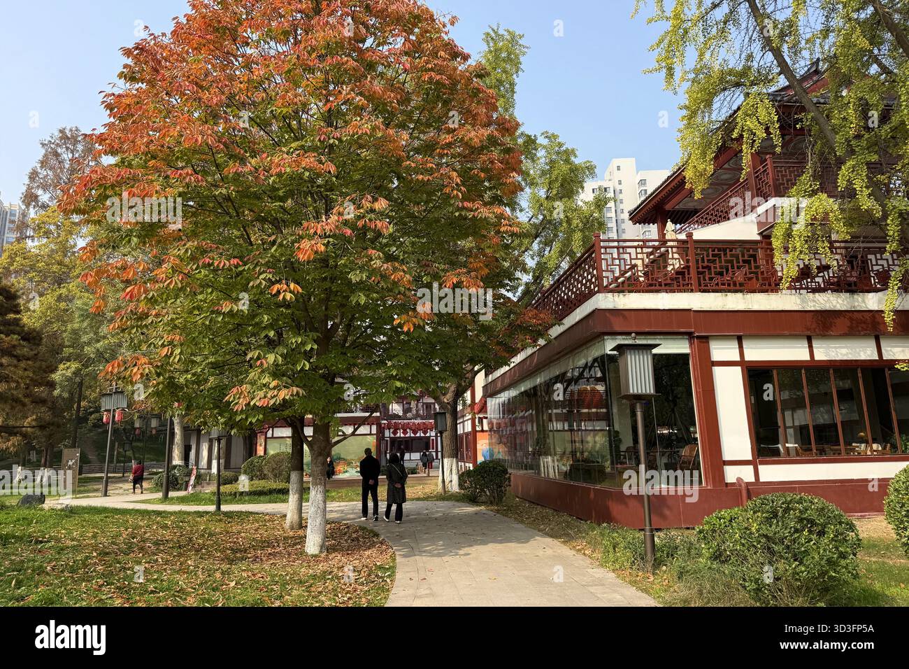 Autumn scenery at Xingqinggong Park in Xi'an City, northwest China's ...