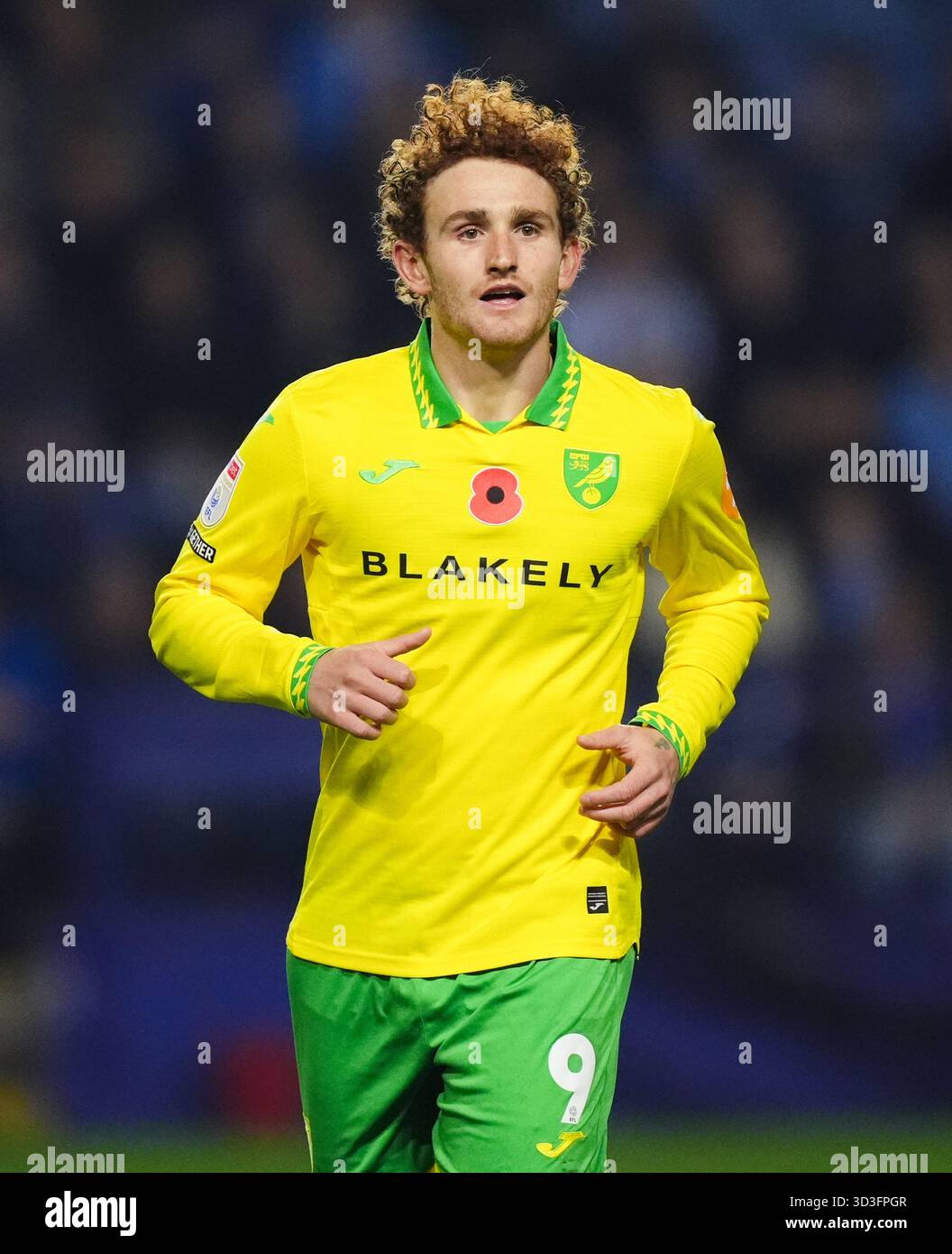 Norwich City's Josh Sargent during the Sky Bet Championship match at ...