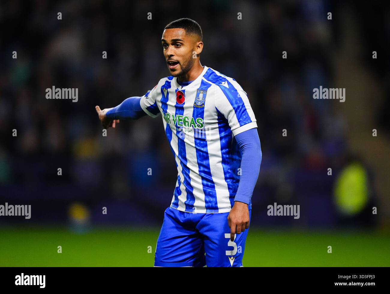 Sheffield Wednesday's Max Lowe during the Sky Bet Championship match at ...