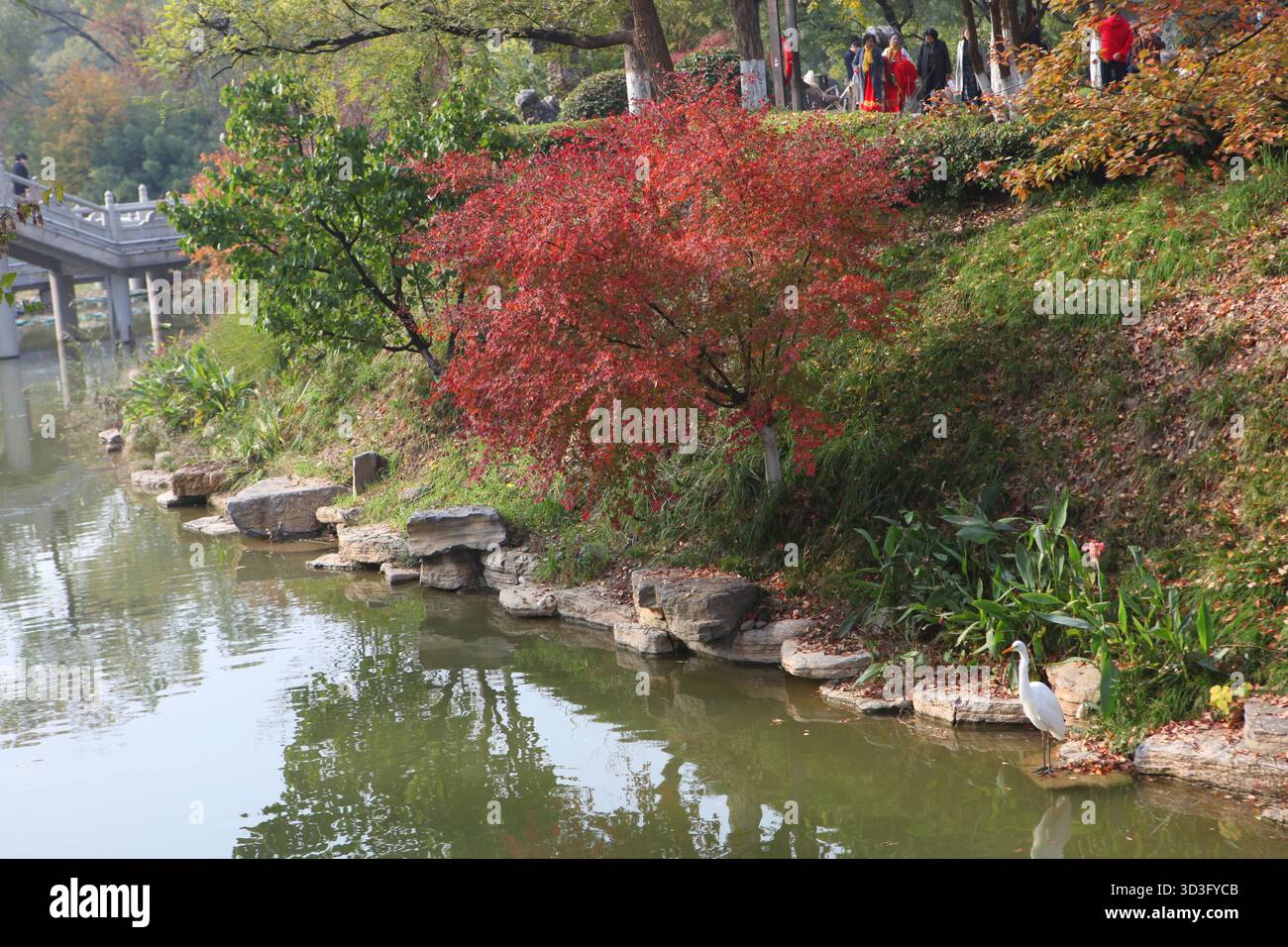 Autumn scenery at Xingqinggong Park in Xi'an City, northwest China's ...