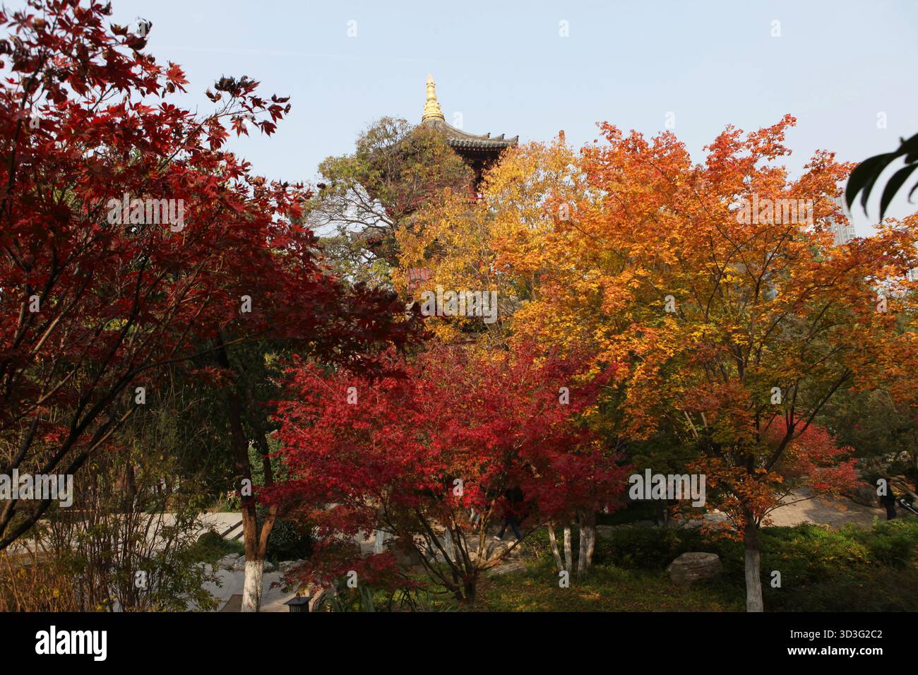 Autumn scenery at Xingqinggong Park in Xi'an City, northwest China's ...